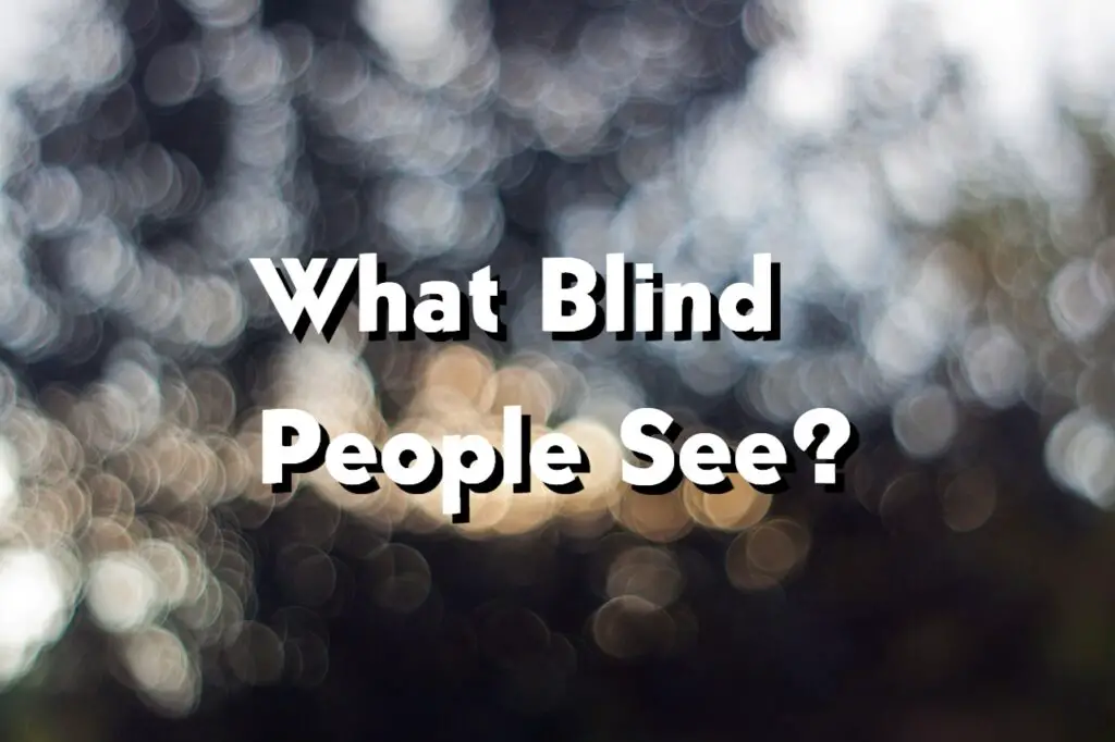 What do Blind People see? - WhereisWay