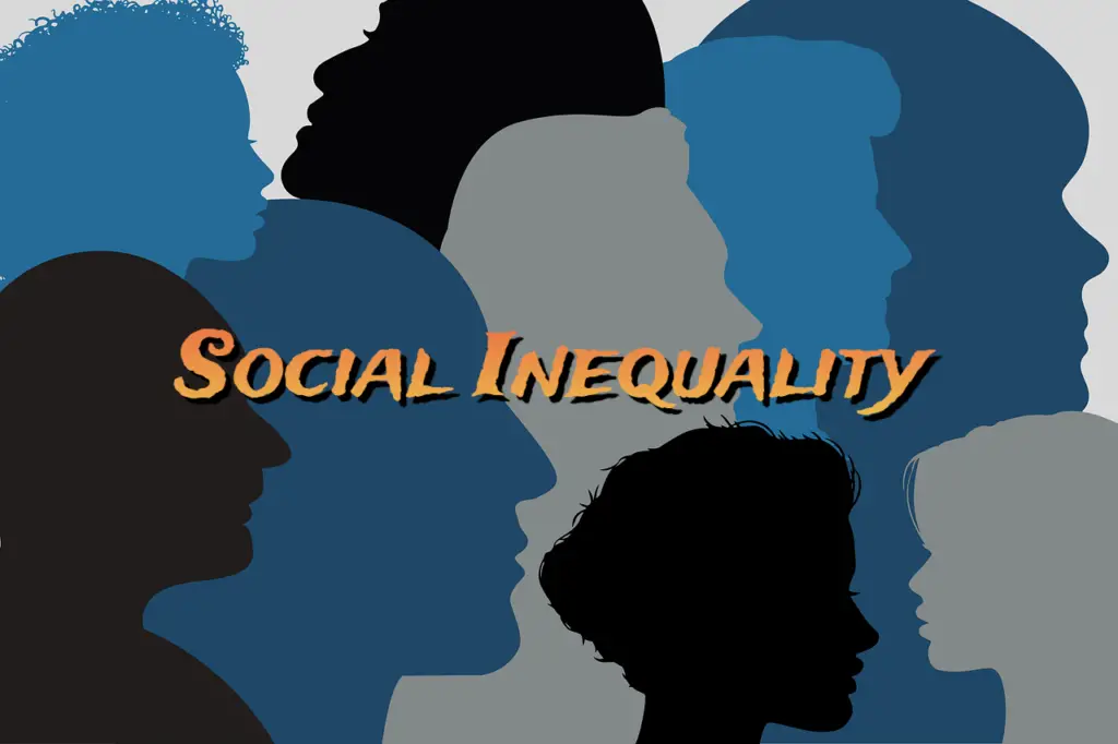 What is Social Inequality | Definition & Detailed Overview - WhereisWay