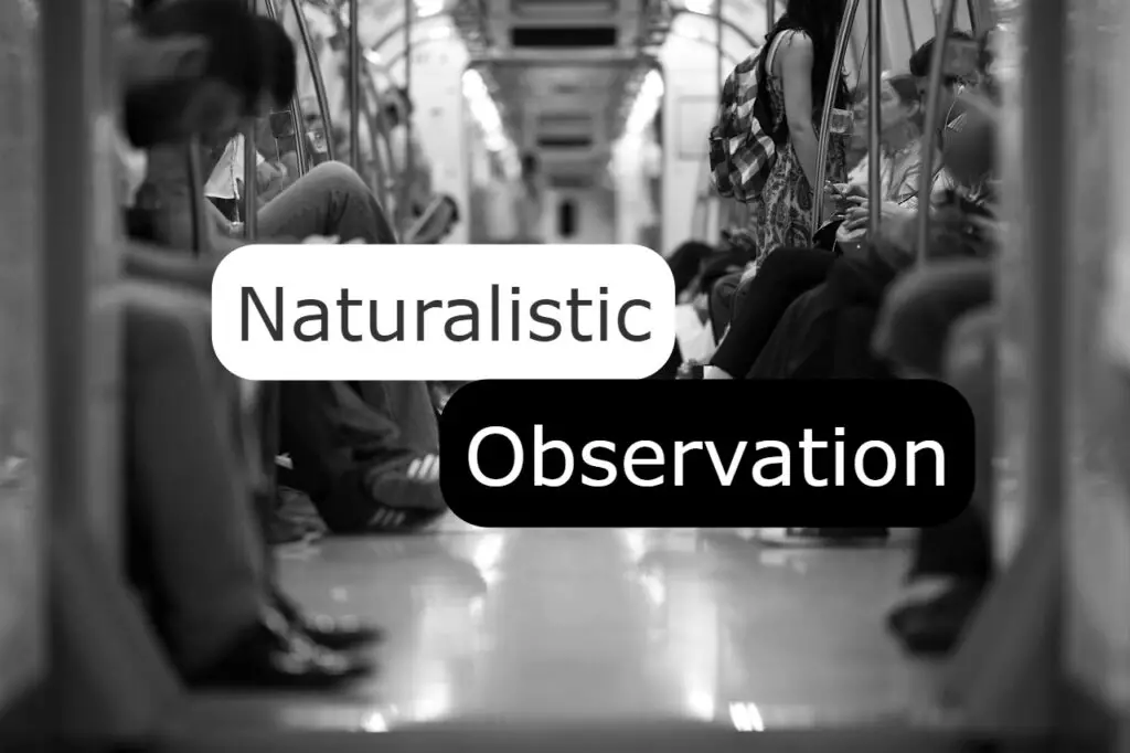 Naturalistic Observation Definition Psychology | A Detailed Overview ...